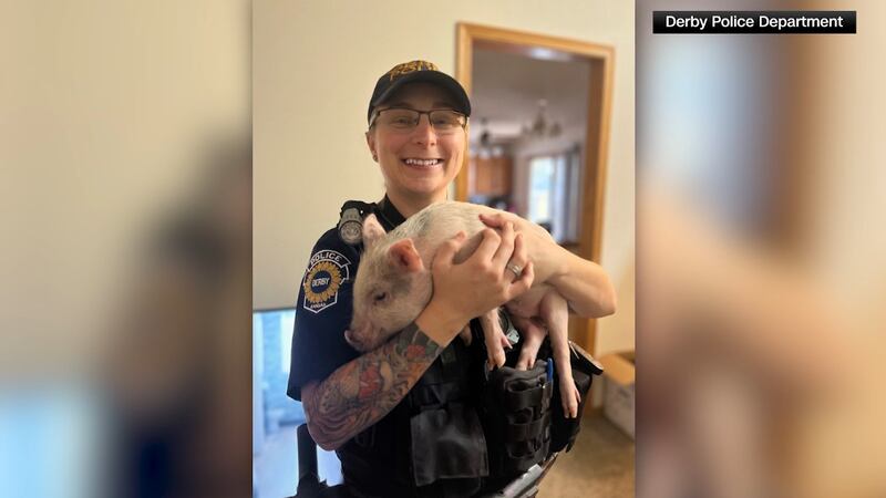 Police officer replaces boy’s therapy pig after tragic animal attack Police officer replaces boy’s therapy pig after tragic animal attack